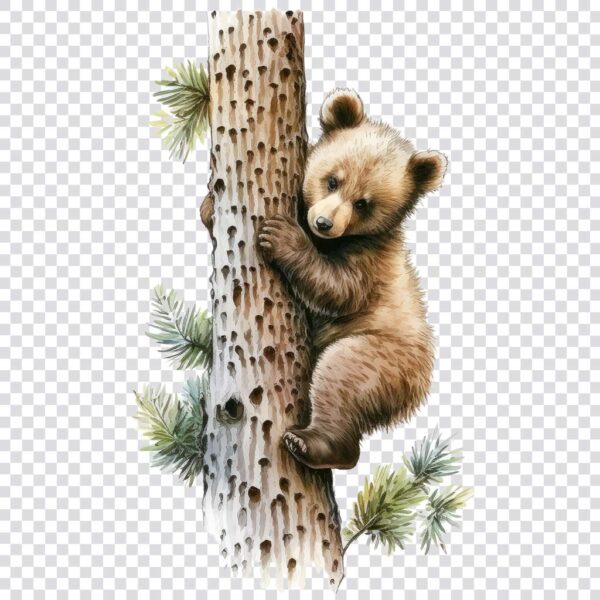 Watercolor Baby Bear Climbing Tree Clipart Bundle