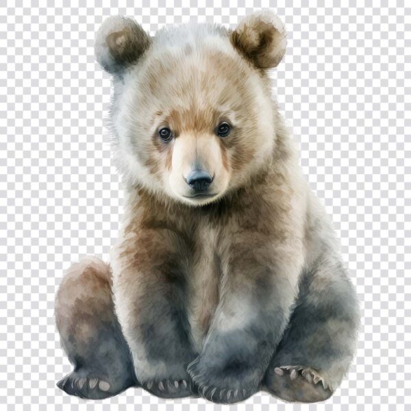 Watercolor Baby Bear Portrait Clipart Bundle